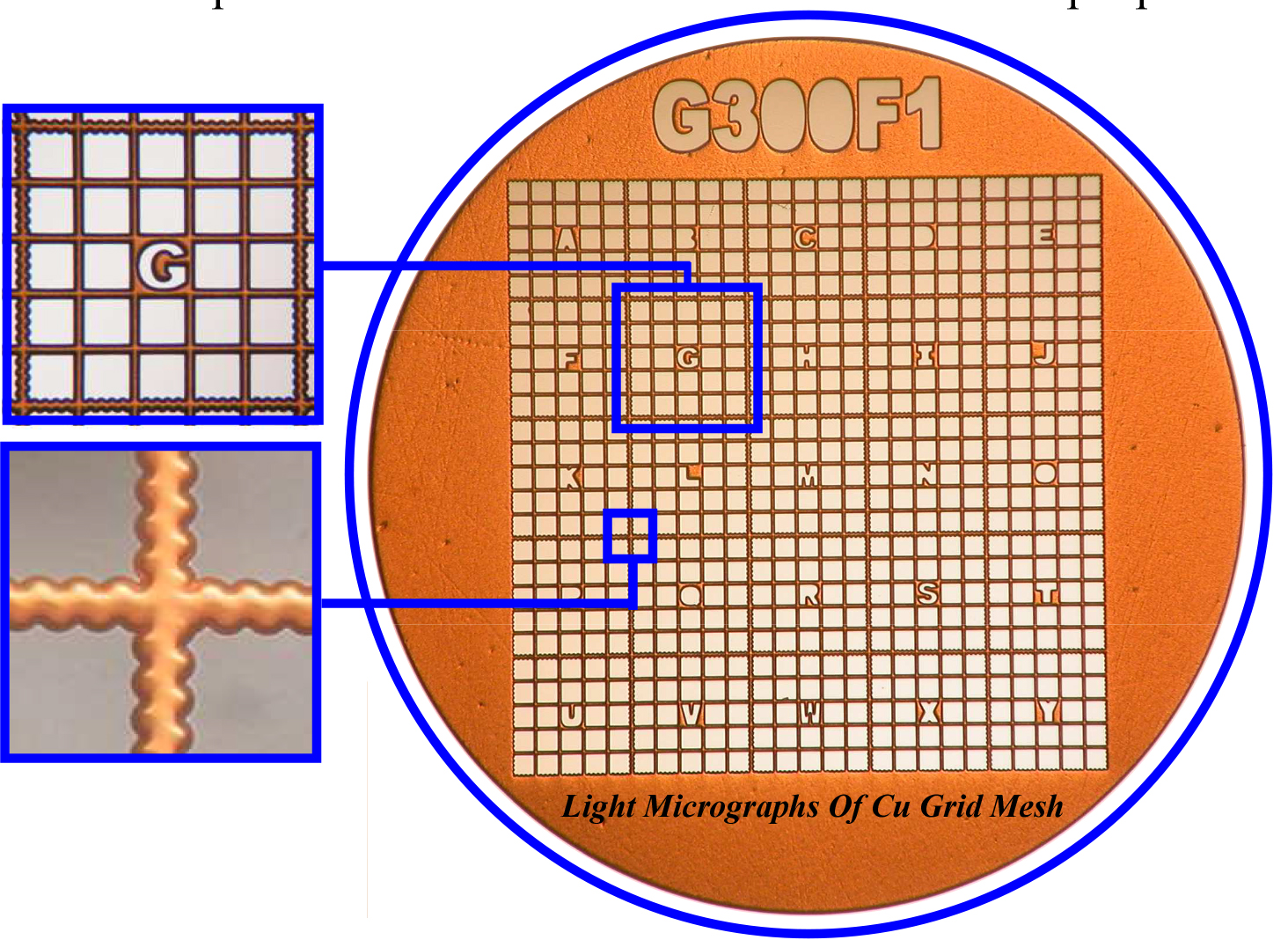 G300F1 – GILDER GRIDS